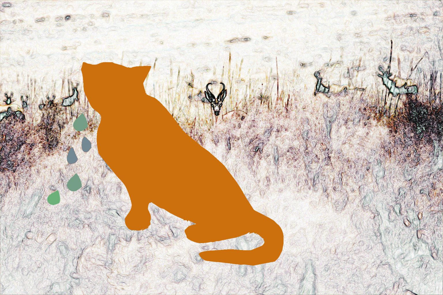 Why the Cheetah's Cheeks are Stained With Tears - Sparkler